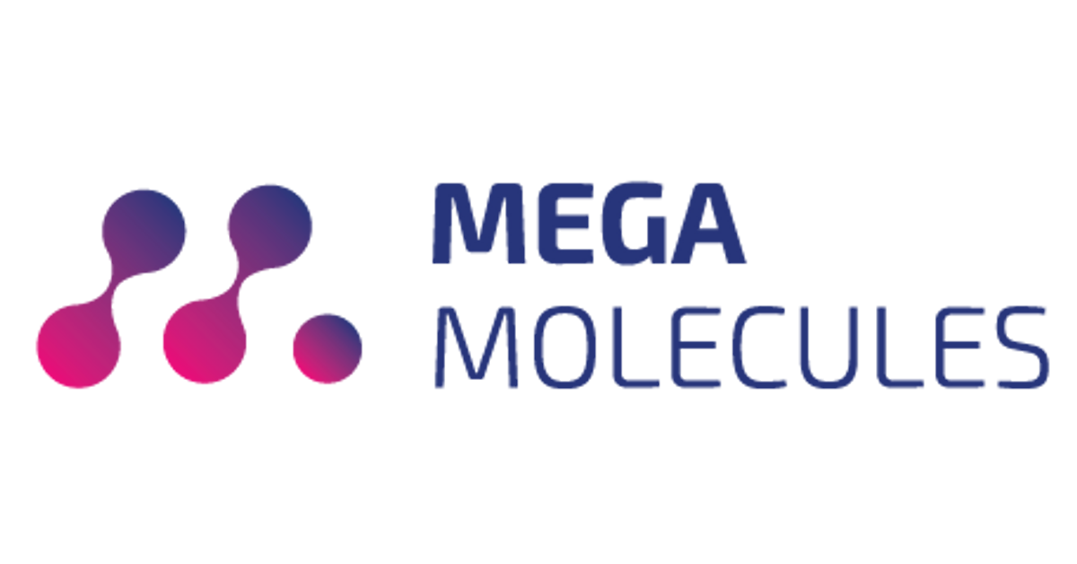About – Mega Molecules